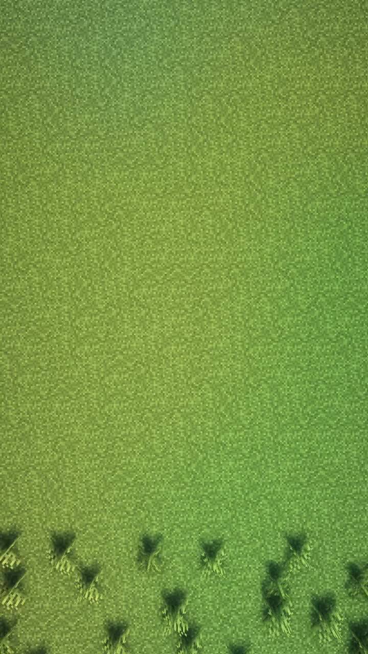 #mc房子建筑教程 #mc不灭 #我的世界 #生存建造