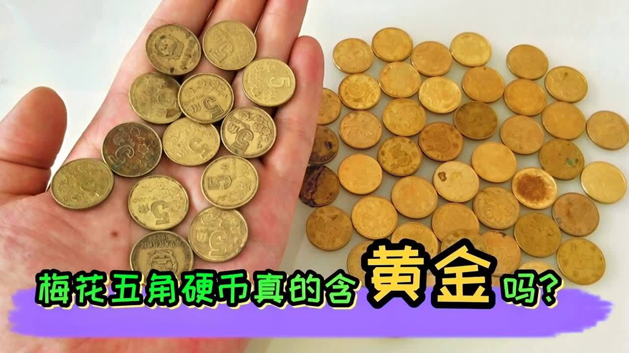 梅花五角硬币真的含有黄金吗.