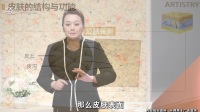皮肤结构与问题(上)