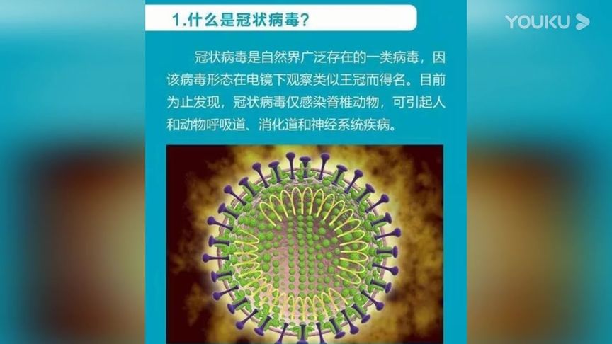 新型冠状病毒感染的肺炎症状有哪些