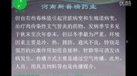 治疗鸡传染性支气管炎的药物