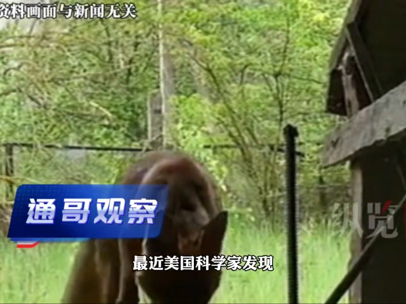 切尔诺贝利附近的狗已变异,对辐射、重金属和污染免疫!