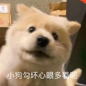不务正业的D老师 