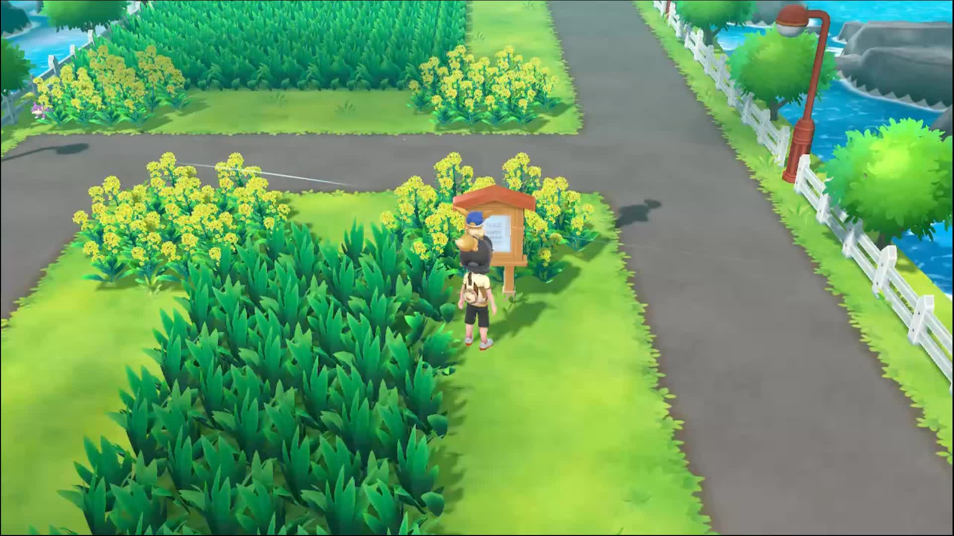 精灵宝可梦 lets go 抓到第一只闪光!