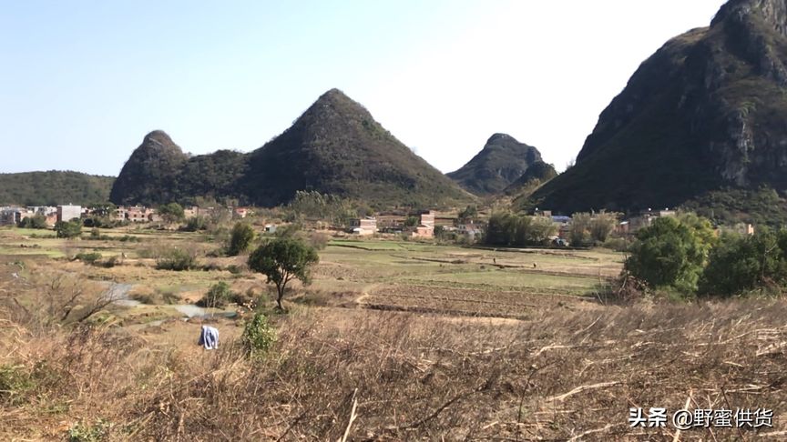 哪里有什么大地大穴,都是忽悠人