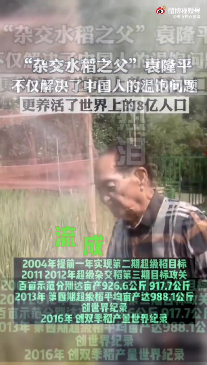杂交水稻的发展 从设想到实现目标,杂交水稻之父袁隆平为杂交水稻...