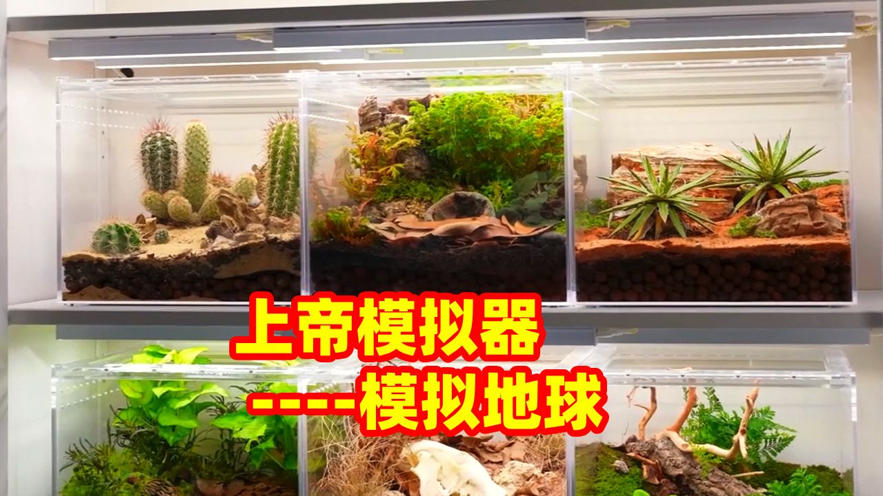 上帝模拟器打造一个地球,还原地球6大生态系统