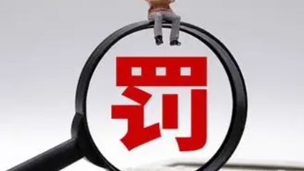 网络主播徐国豪偷逃税被处罚并追缴1.08亿元