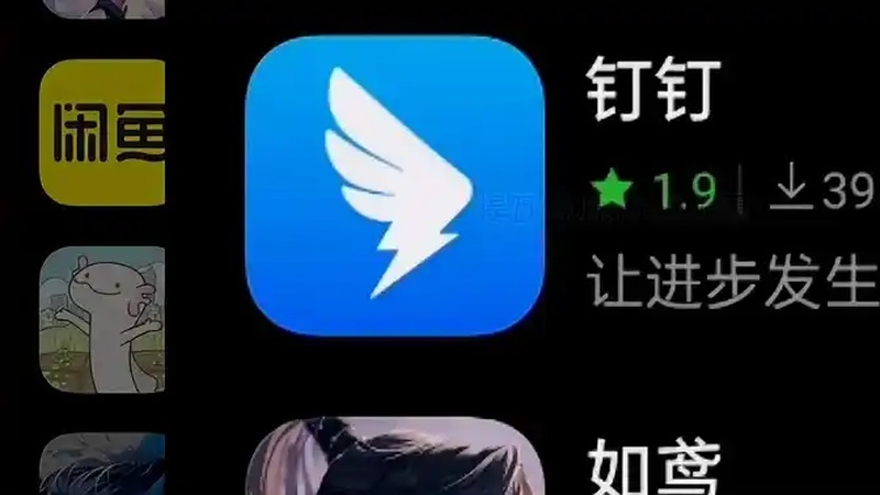 你恰斯卡的命座关我钉钉什么事
