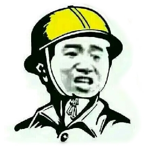 小破港上一只猫 