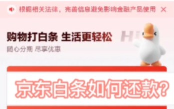 京东白条如何还款？