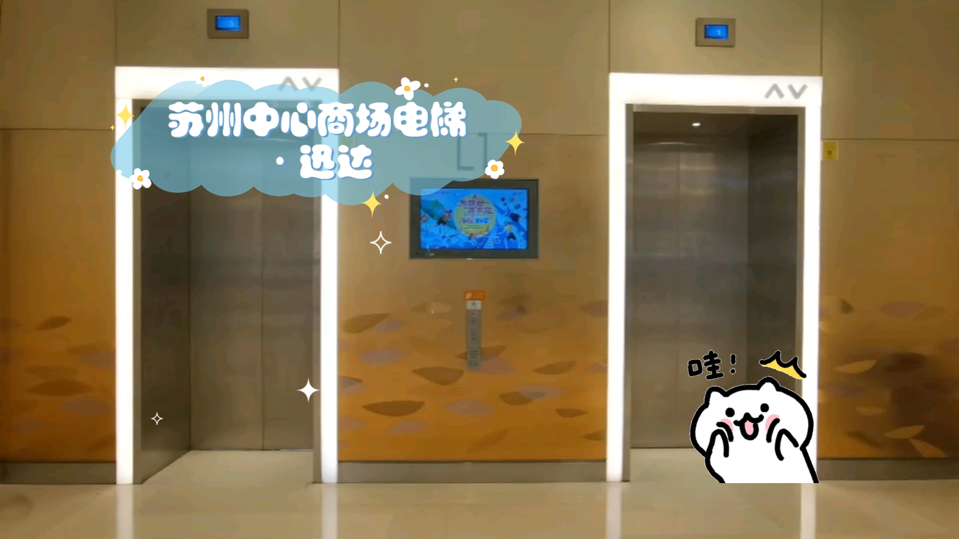 【4K超清】苏州中心商场【观光梯】电梯•迅达 5500
