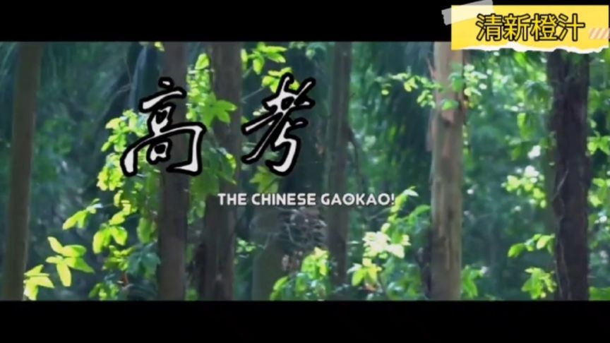 [高考倒计时100天]高考励志短片,少年们,向目标全力冲刺吧