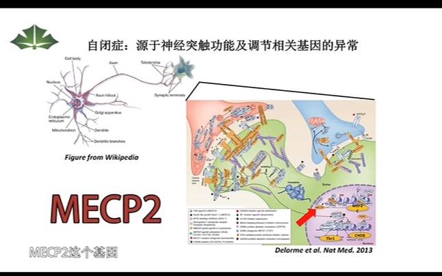 【科普演讲】打开吧脑洞(上海教育电视台)