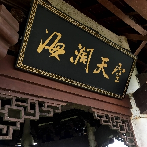 菜鸟铁头 
