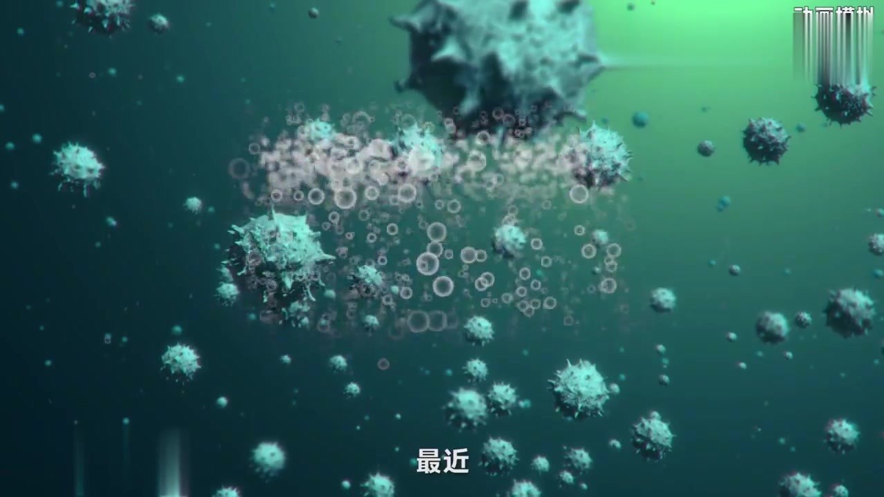 【动画】腺病毒是怎么传播的?哪些人容易感染?速览!