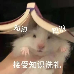 运筹小姐姐 