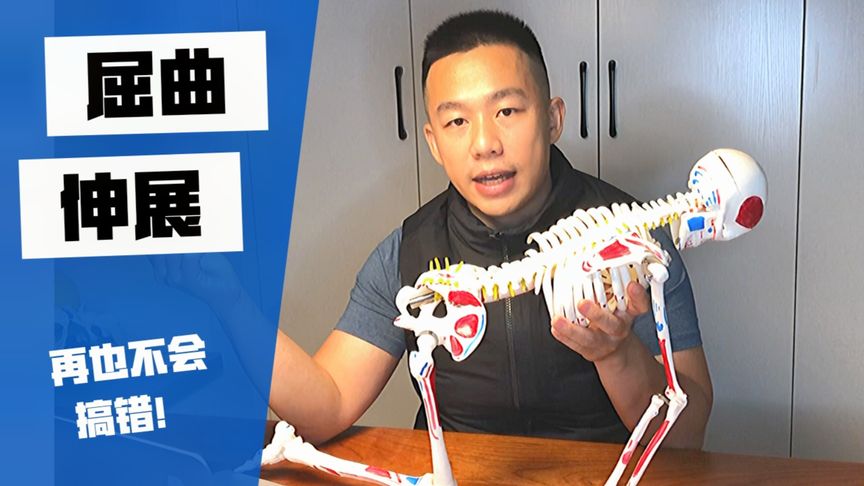 2. 屈曲伸展,再也不会搞错