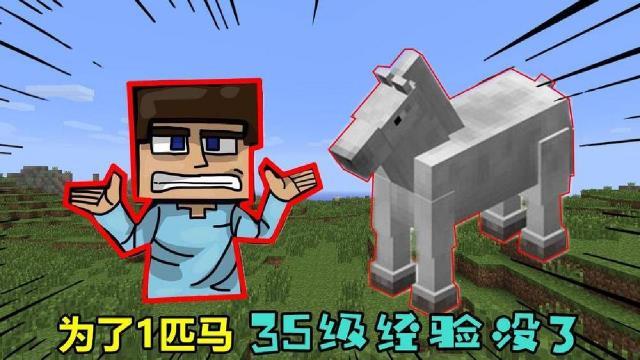 我的世界贝爷生存89:麻花有情有义,为了救小马中毒身亡!难受