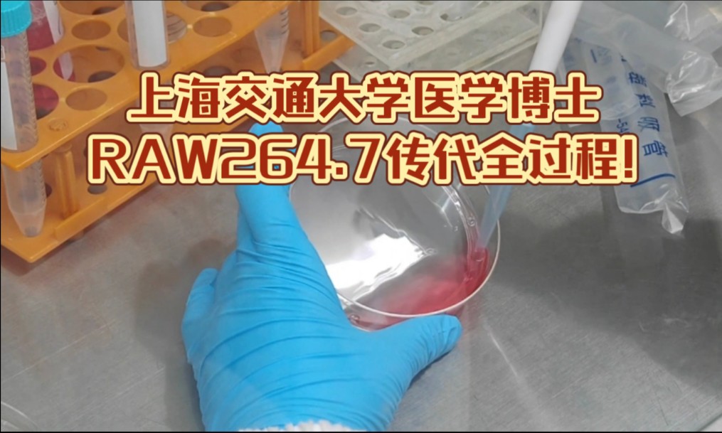 RAW264.7巨噬细胞传代