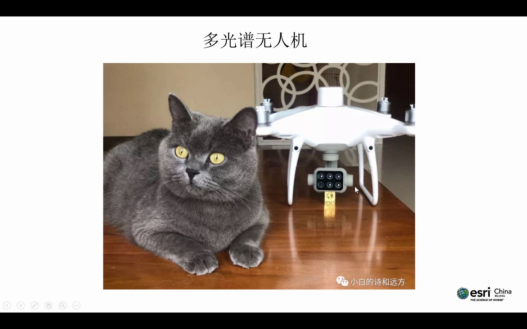 第二期:多光谱无人机的GIS应用入门简介