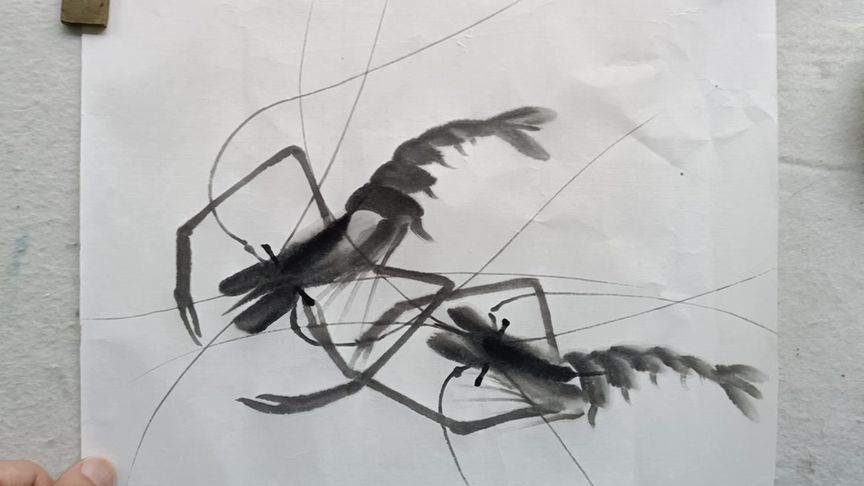 教你齐白石画虾的方法,齐派用笔用墨的秘诀,很多人都不知道