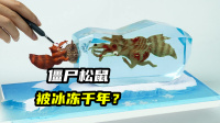 模型制作:被冰冻千年的僵尸松鼠,竟是因为细菌的原因?