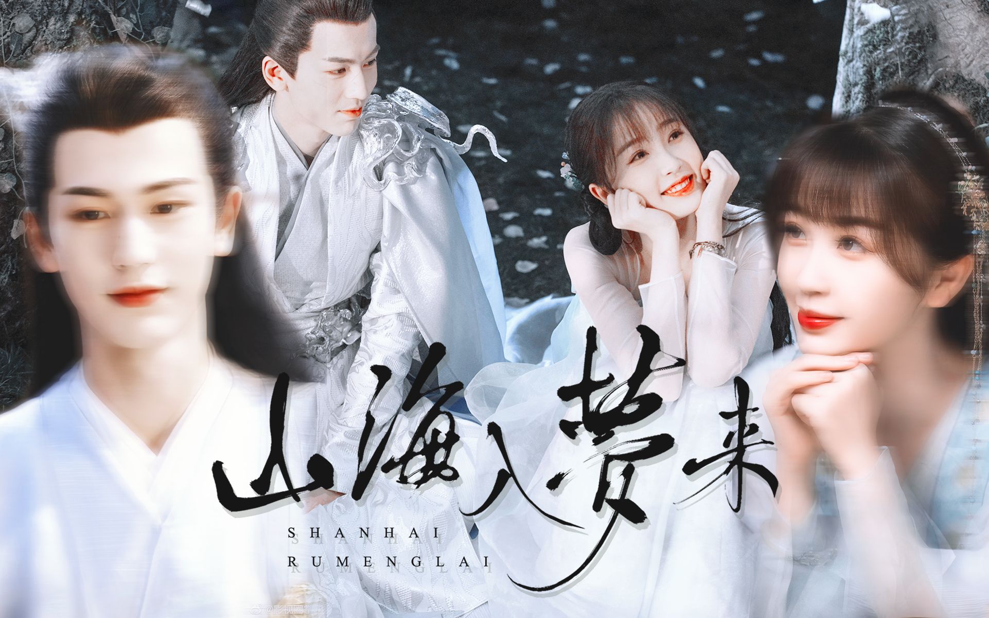 【长生花|双视角】你永远不会知道,我本可以怎样爱你。