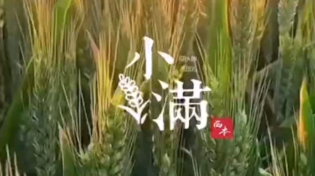 小满,一个极具人生智慧的词语。世间万物多一分则满,少一分则亏,唯有...