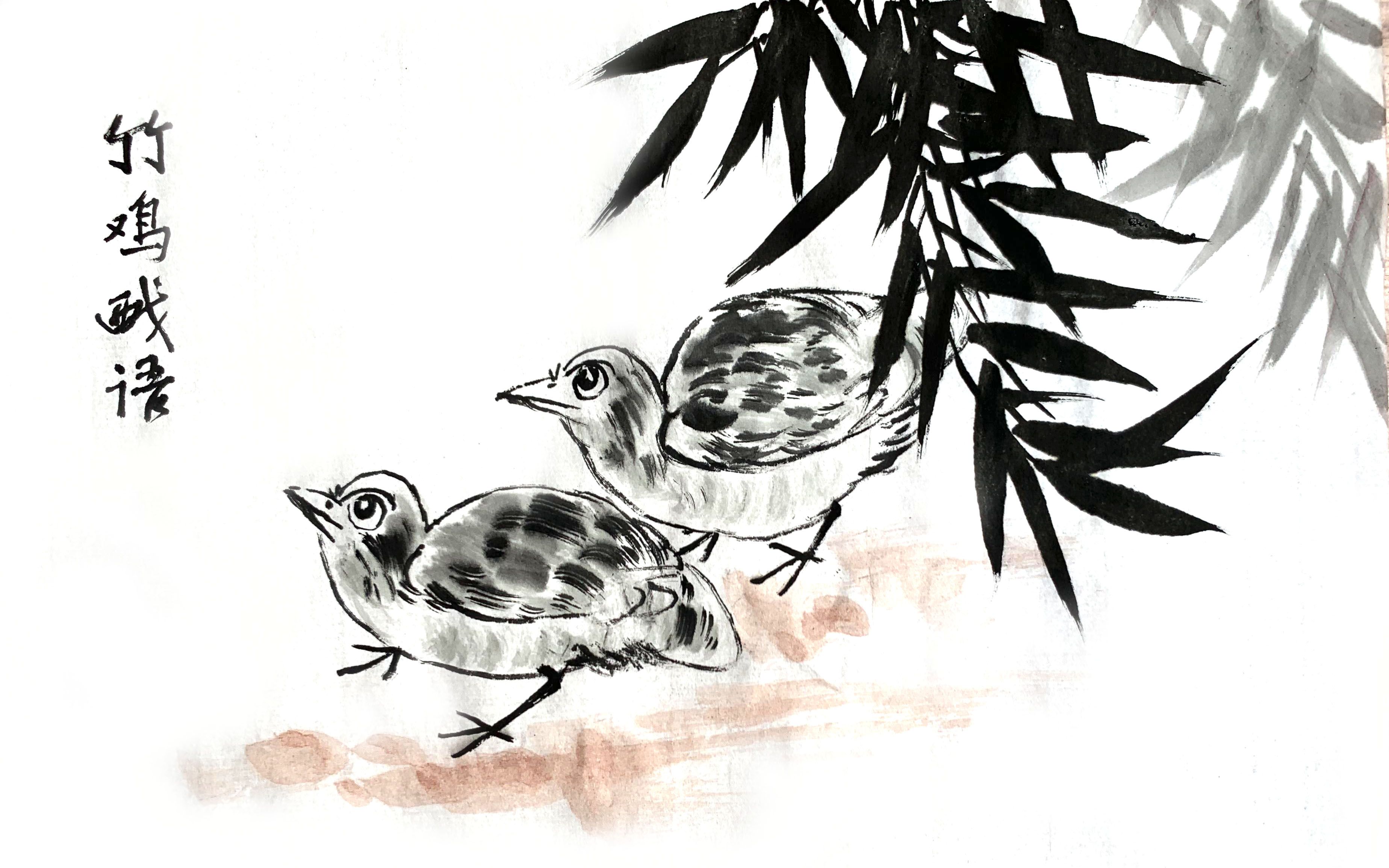 难得一见的《竹鸡》,跟着口诀画散笔,画好羽毛,其他鸟禽都会画