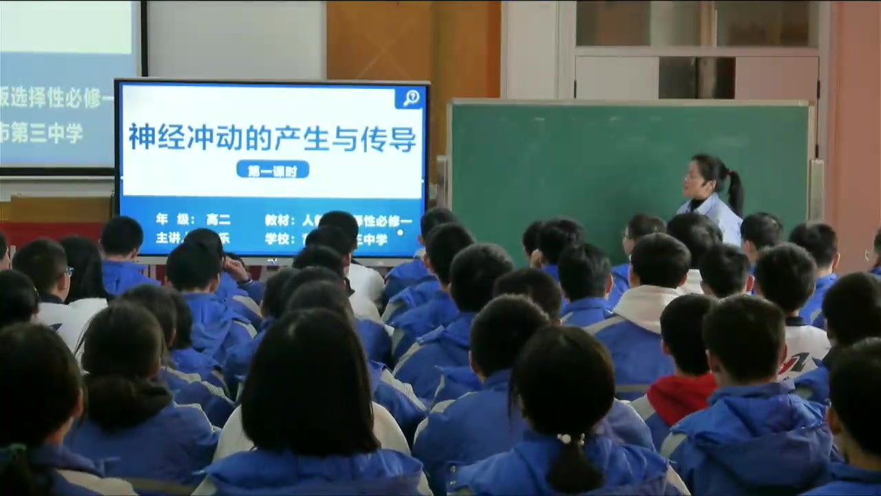 神经冲动的产生和传导