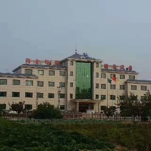 河北环科除尘张婷 