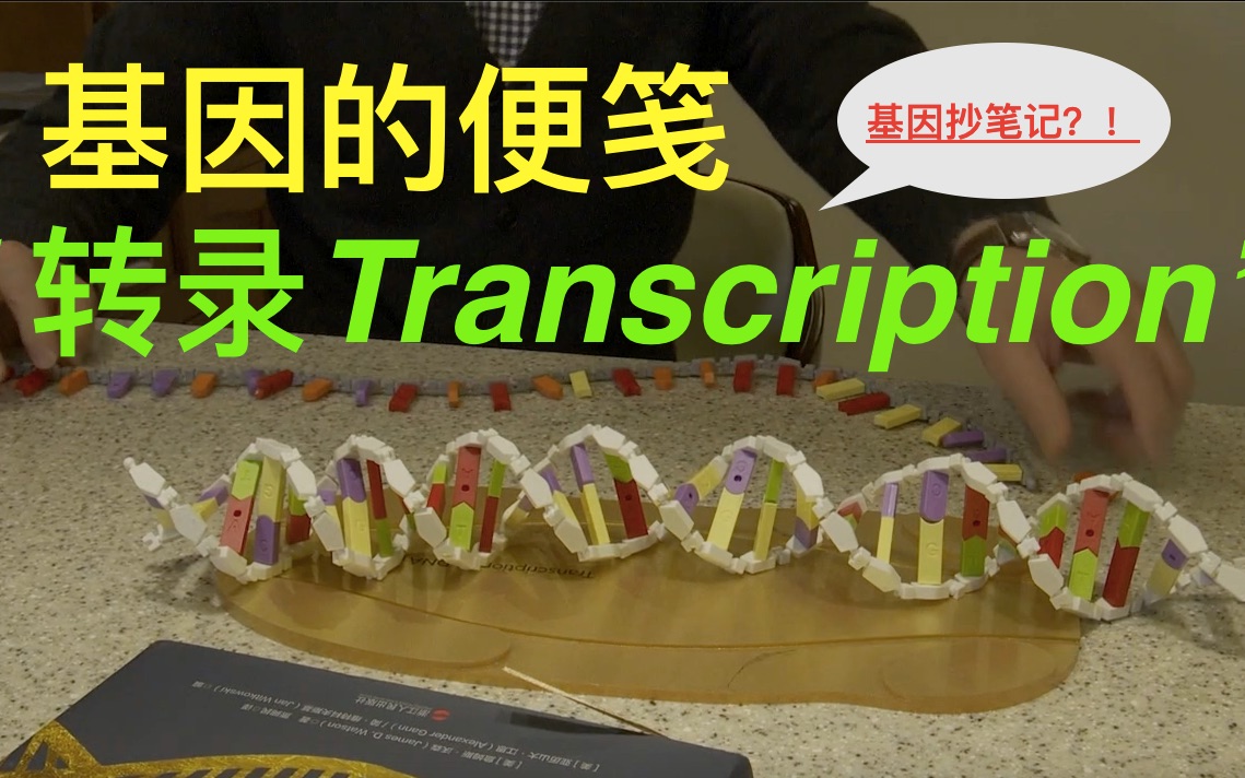 基因的便笺 -转录Transcription