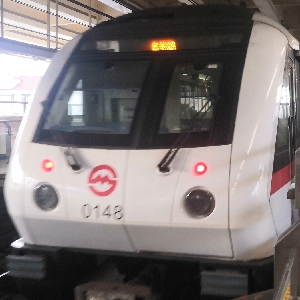 01A05-胖头鱼 