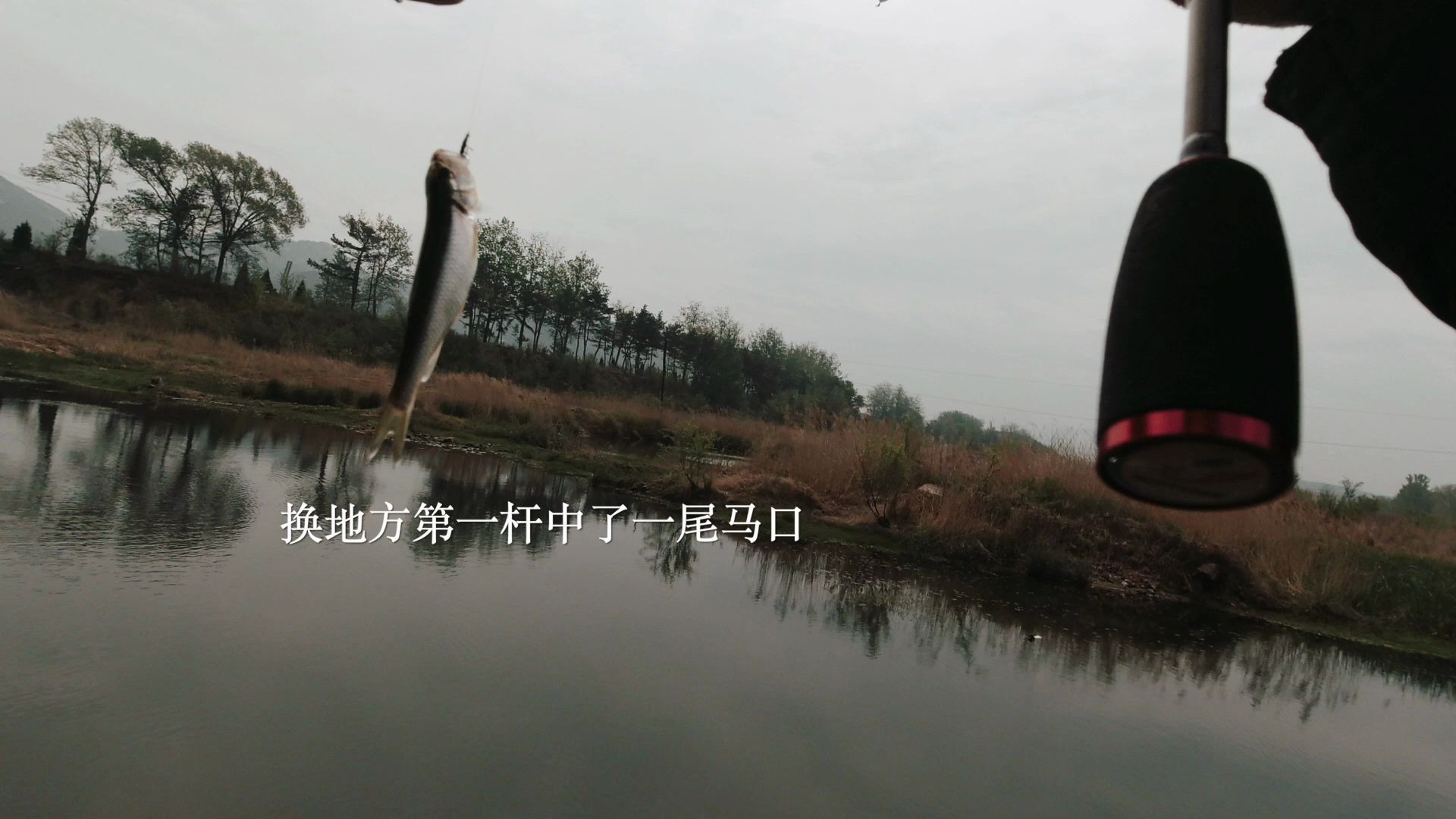 路亚日记第一次用水滴 助投器加毛钩路亚马口 2020年5月5 白条不少...