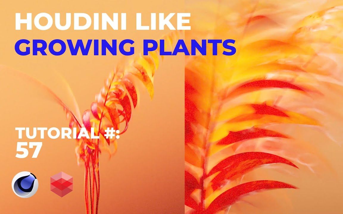 【野生字幕】C4D植物生长动画教程|Houdini like Growing Plants