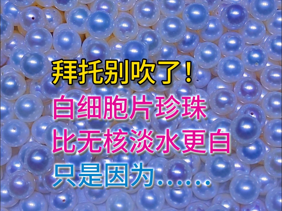 白细胞片珍珠为什么比无核淡水更白亮?原因说出来你可能大吃一惊