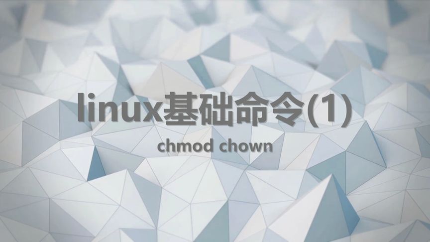 修改文件权限 chmod chown