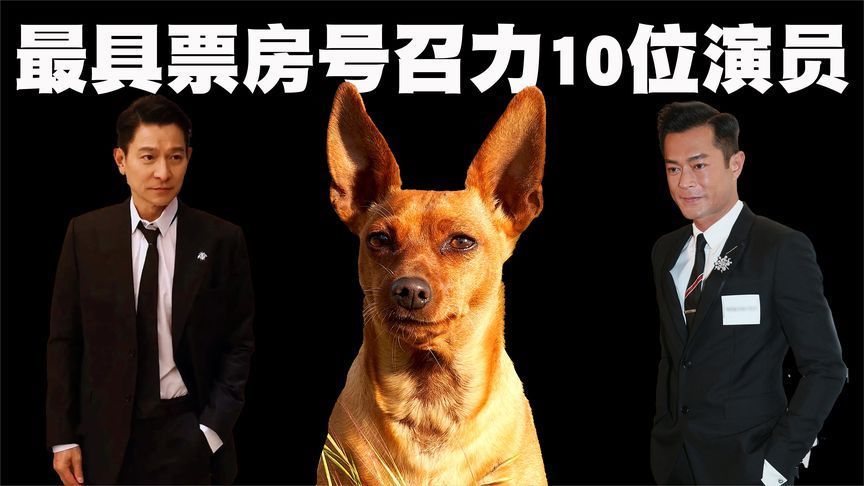 中国最具票房号召力的10位演员排行榜