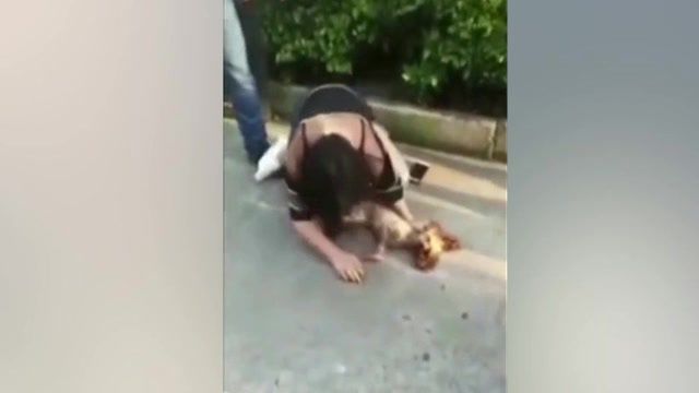 狗狗被撞死,女子倒地痛哭,十分心疼堪比亲人!
