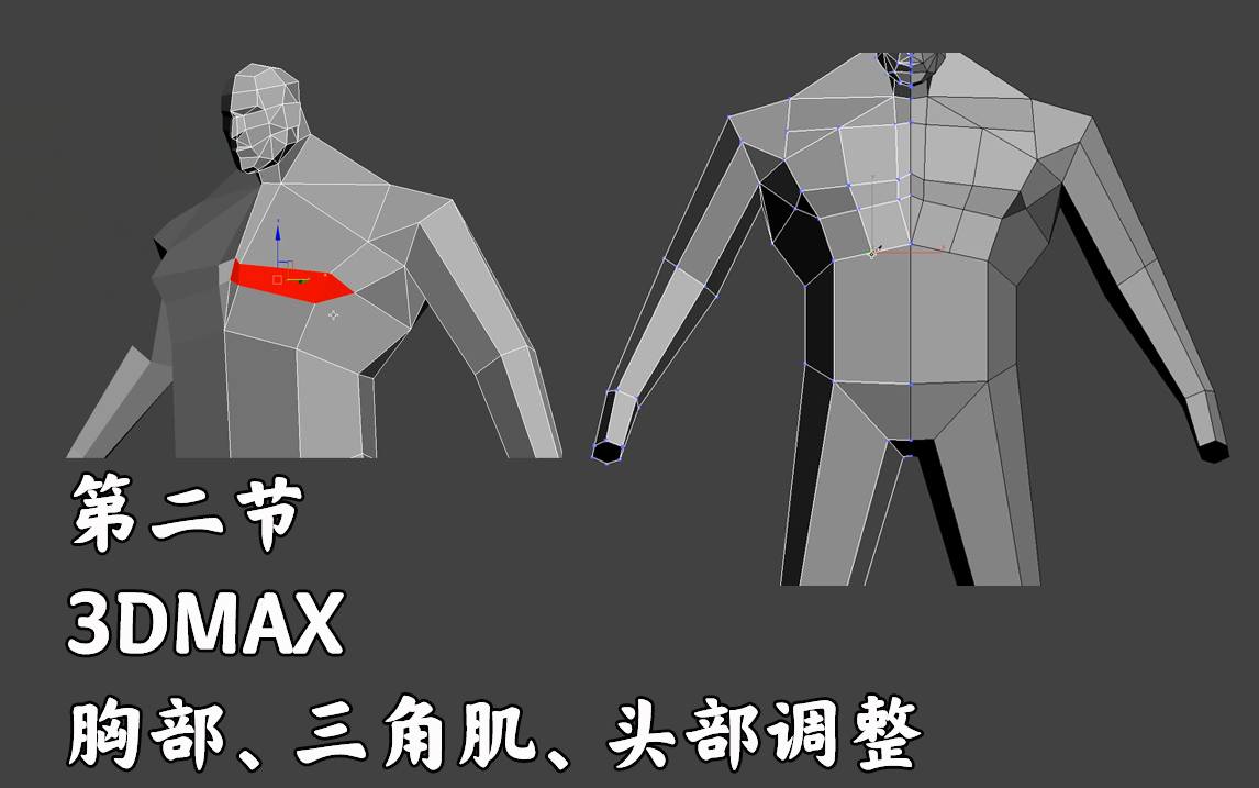 【3DMAX男人体模型制作】胸部、三角肌、头部调整(第二节)