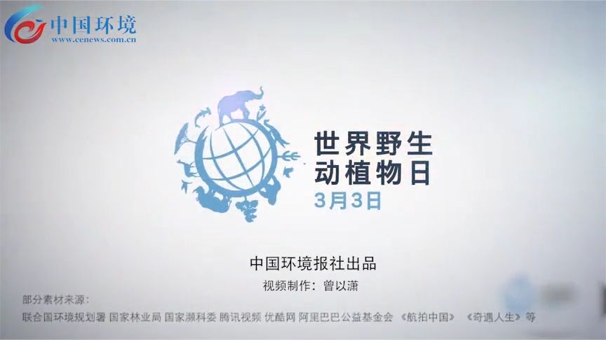 7.“公民十条”系列公益宣传片——爱护野生动植物