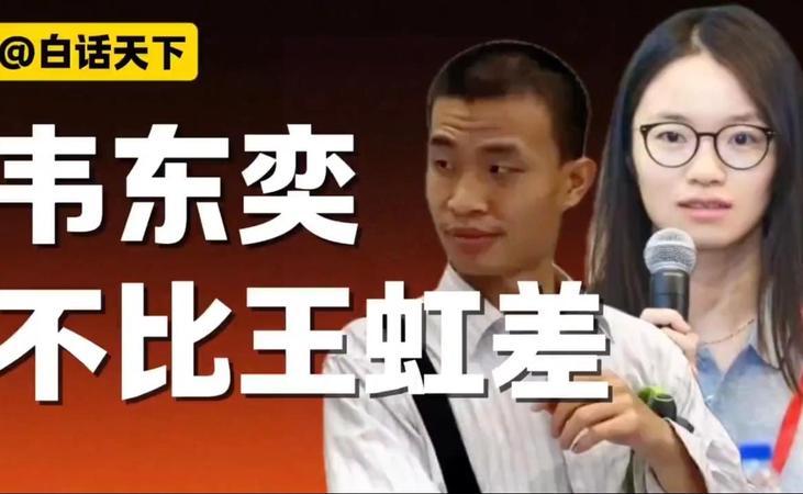 韦东奕不比王虹差!一个应用数学一个理论数学不同研究方向
