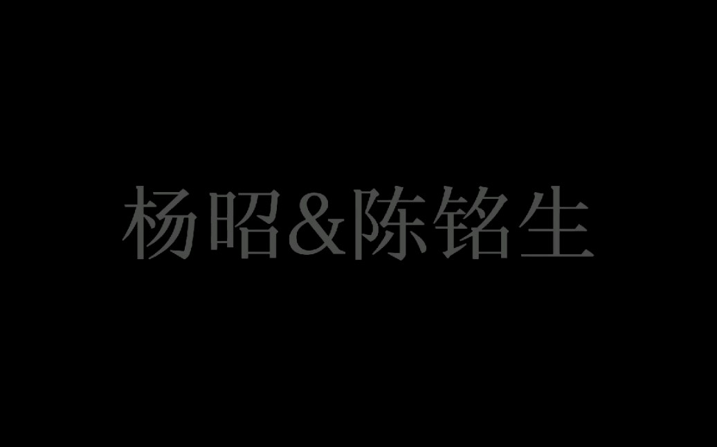 那个不为人知的故事【 杨昭x陈铭生】