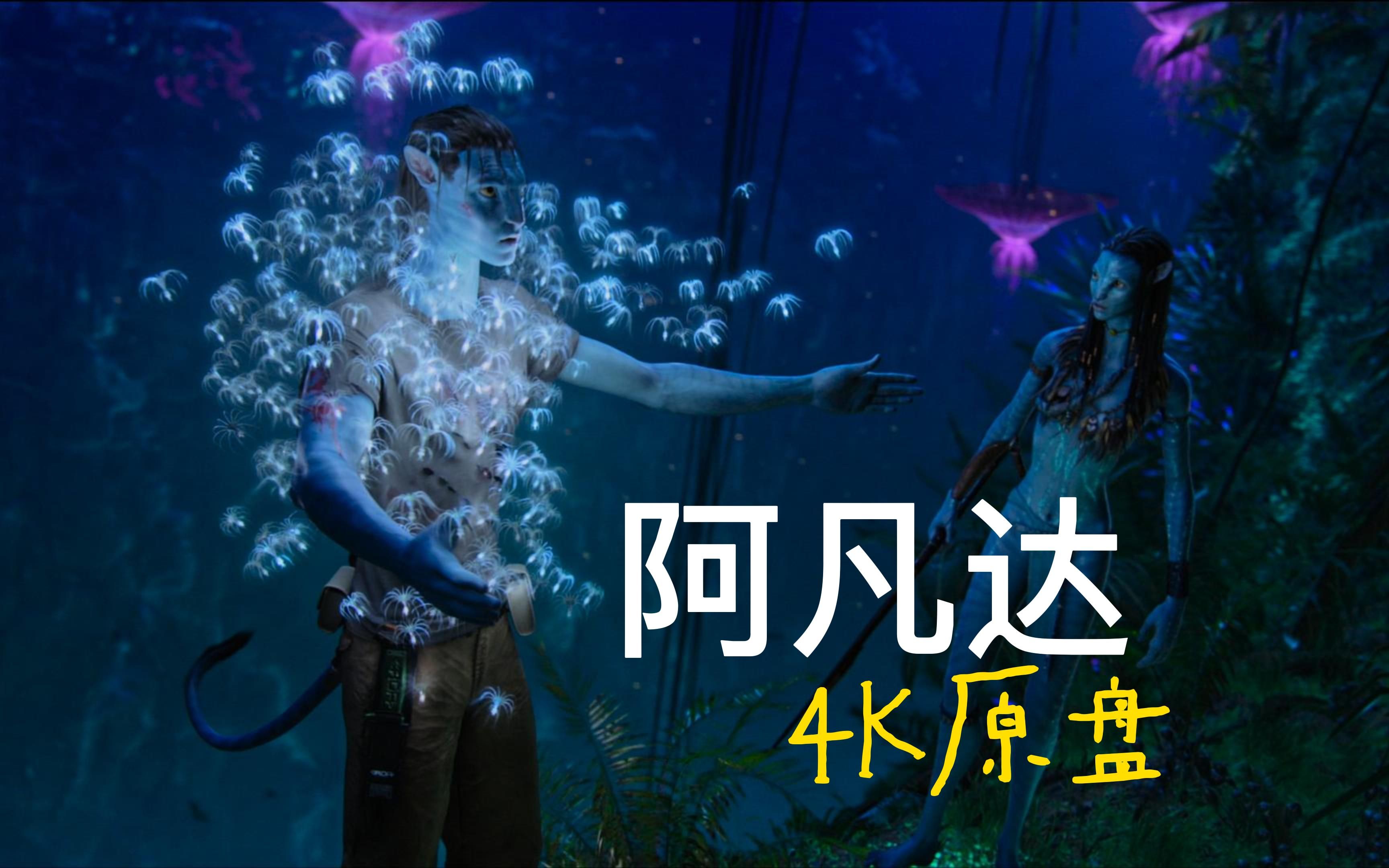 重温经典电影阿凡达精彩片段4K原盘