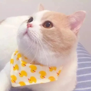 看见喊我去学习- 