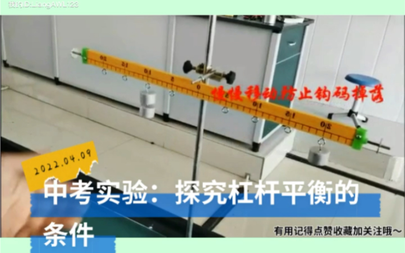 #物理实验 #初中物理 #中考物理实验 探究杠杆平衡的实验