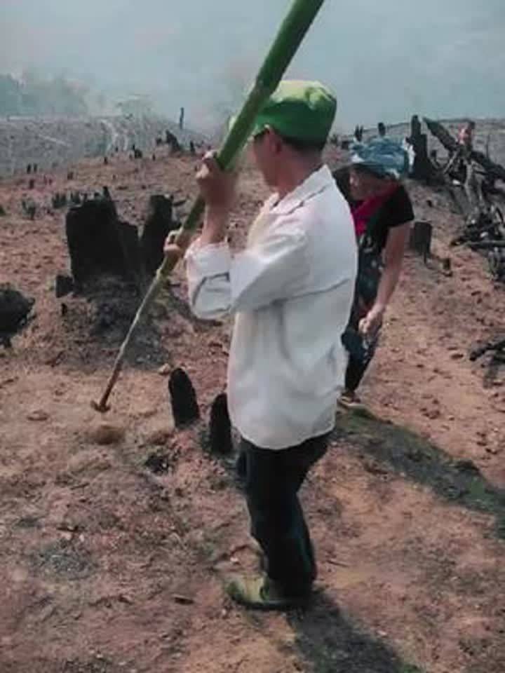 这样种水稻你见过吗?~~!