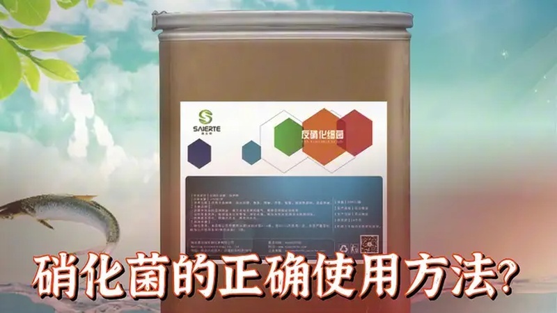 硝化菌的正确使用方法