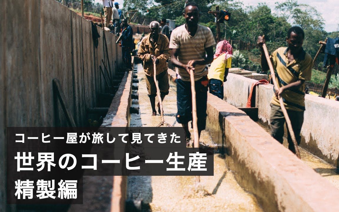 【精制篇】咖啡老板的旅行见闻、全世界的咖啡生产过程